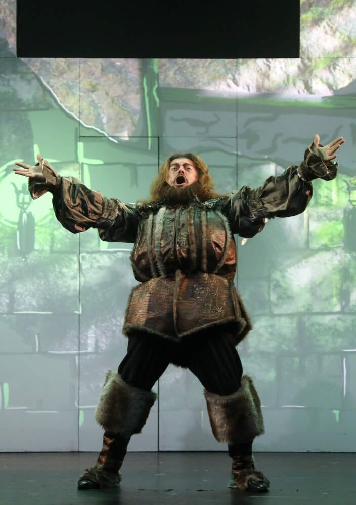 Chat Botté, le musical - Théâtre de la Gaîté Montparnasse